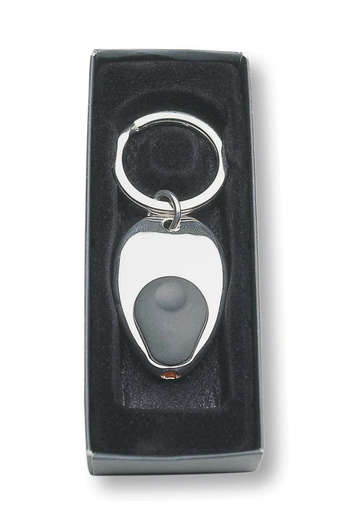 Keyring with Torch